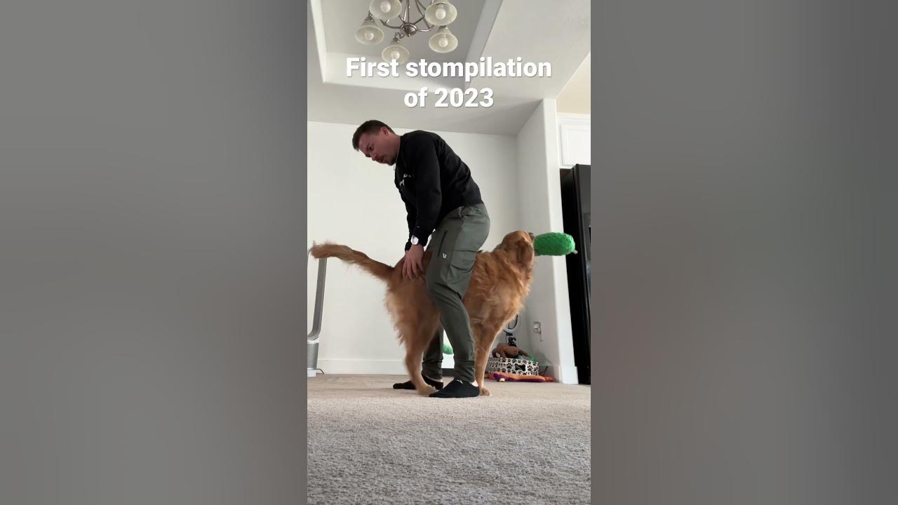 Nala Stomp The Dance Craze Taking Over Social Media