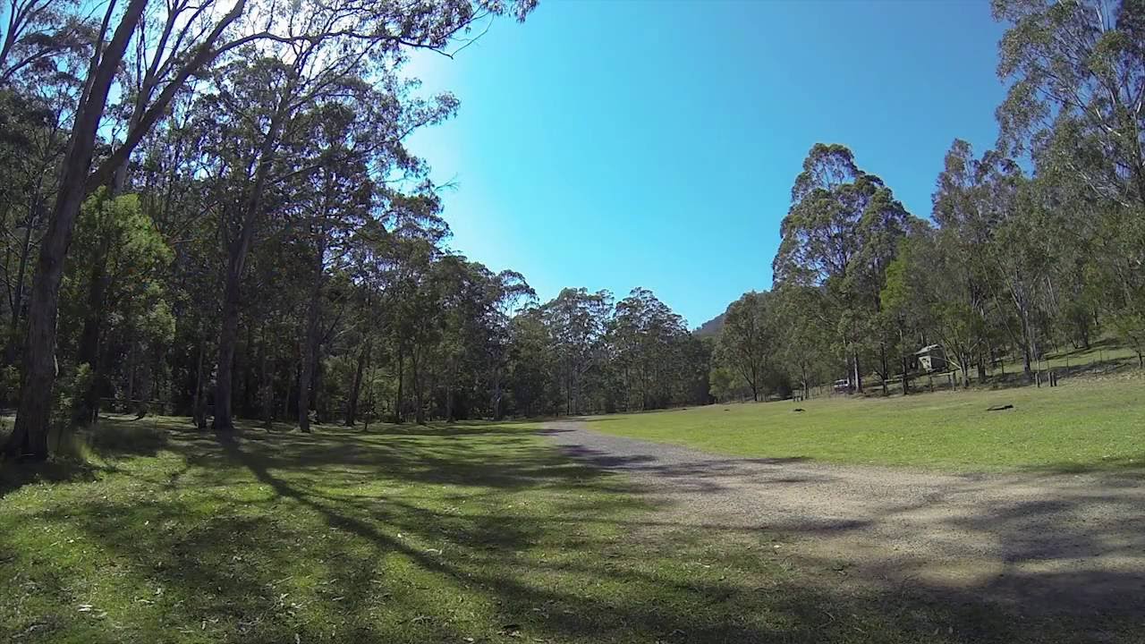 Poplar Flats, Main Range National Park, near Warwick, QLD - YouTube