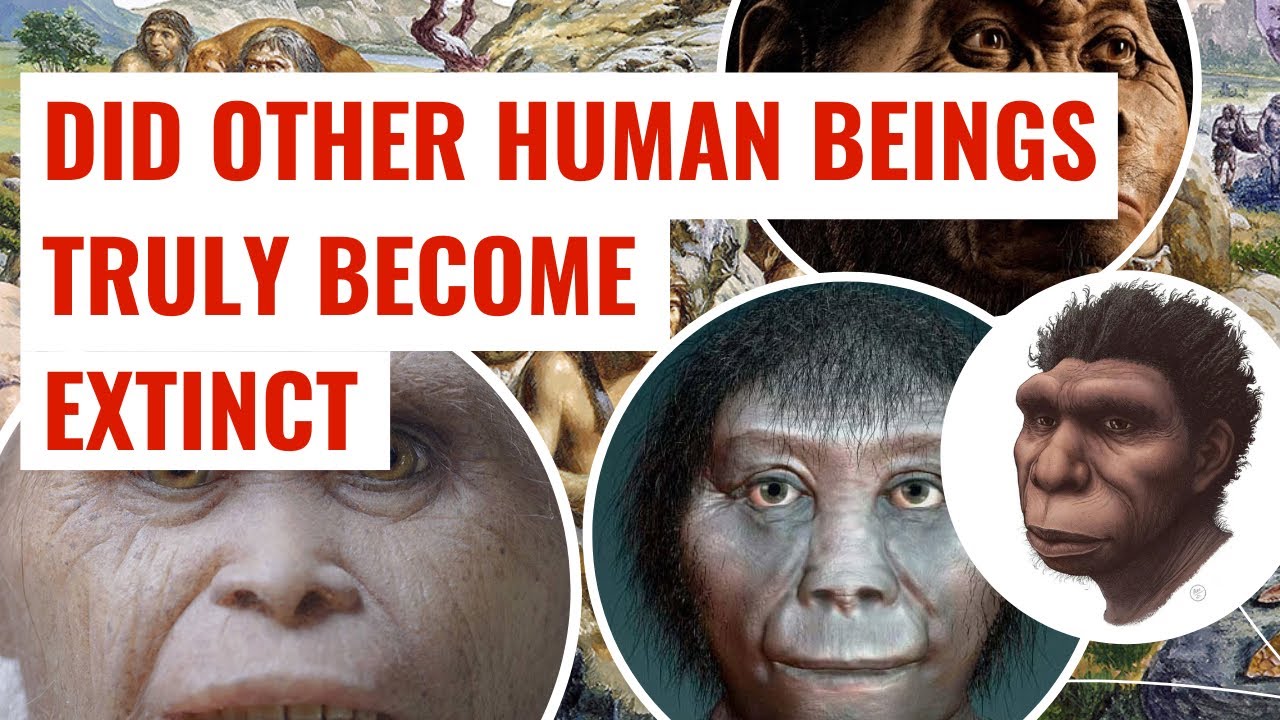 Where are the other human species? - YouTube