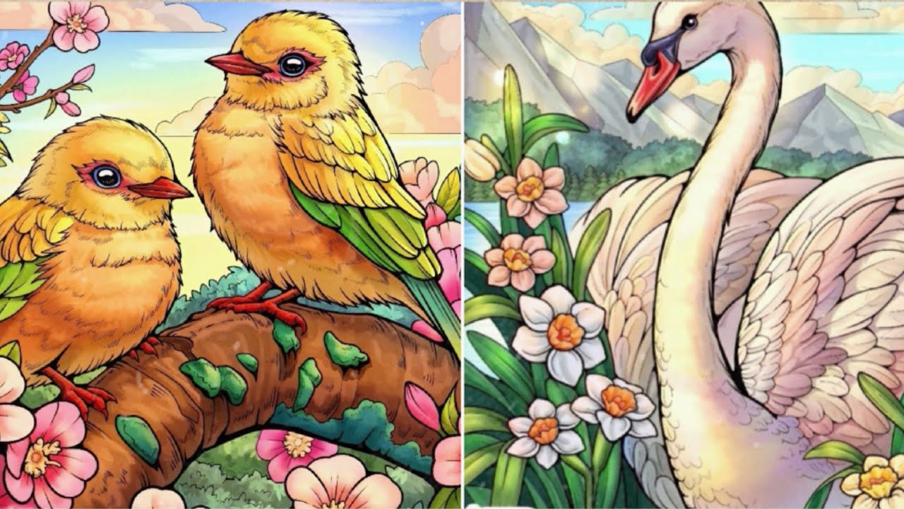 Relax Video of Coloring Drawings - Mix Special (Bird Closeup) 02/24 ...