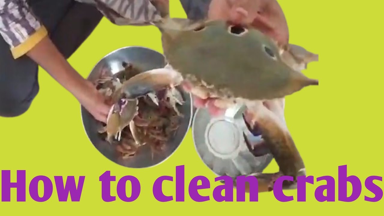 How to clean Crabs before cooking |How to clean 🦀|ಏಡಿ ಸ್ವಚ್ ಮಾಡುವ ಕ್ರಮ ...