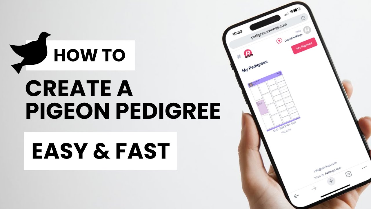 How to Create a Pigeon Pedigree FAST & EASY? - YouTube