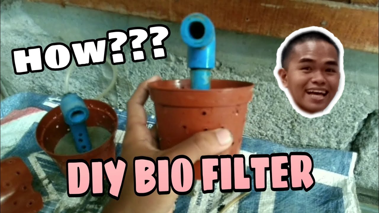 Simple DIY Bio Filter | FISH UPDATES - YouTube