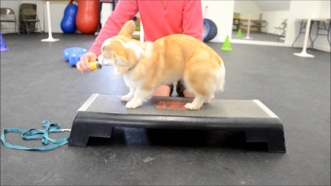 Molly workout - YouTube