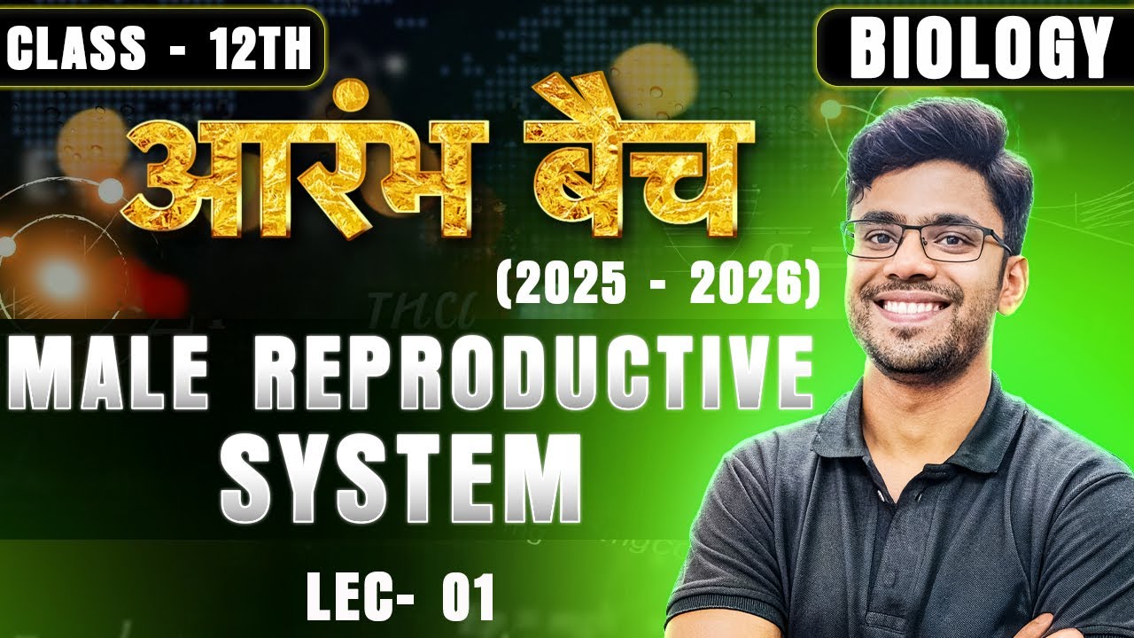 The Male Reproductive System - Human Reproduction | Class 12 Chapter 2 ...