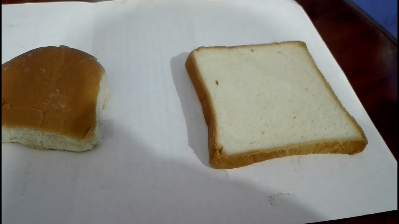 Experimento: "Descomposición del pan" - YouTube