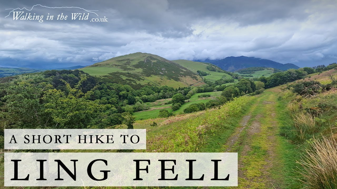 Lake District Walks: Ling Fell - YouTube