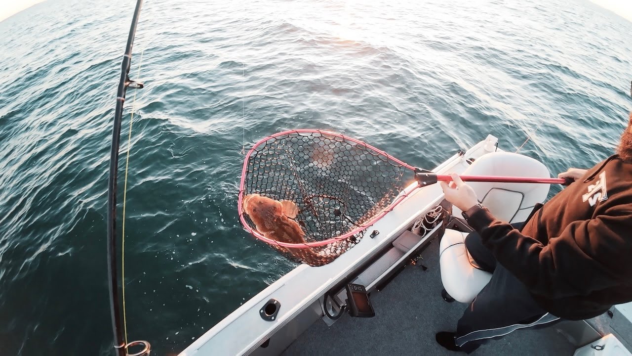Redcliffe Shallow Reef Fishing - YouTube