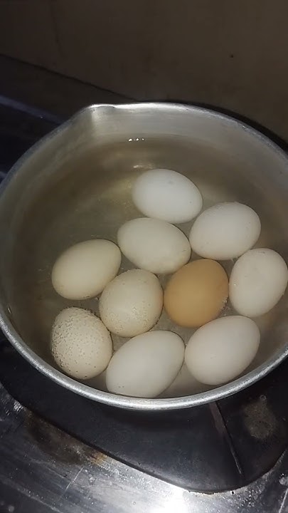 Cara merebus telur agar tidak pecah - YouTube