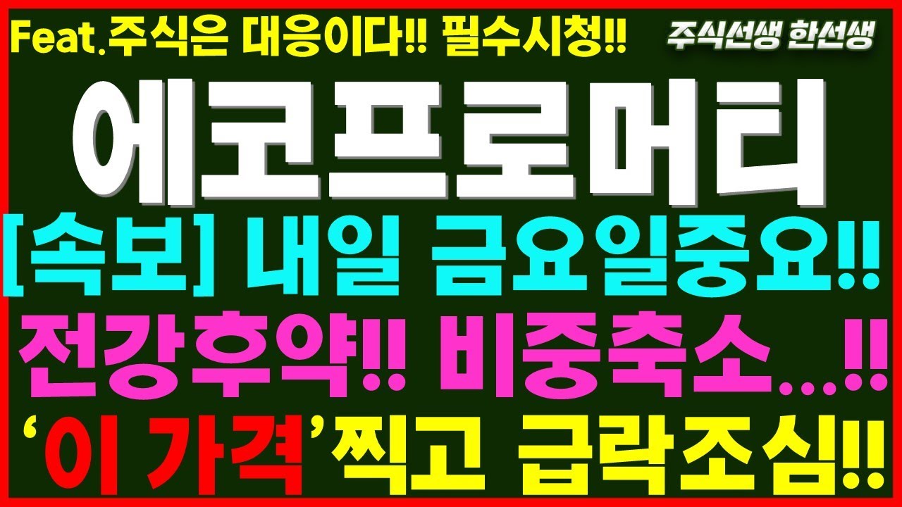 에코프로머티리얼즈 속보 내일 금요일중요 전강후약비중축소 꼭 하세요 00원 찍고 급락조심향후 대응전략은 에코프로머티리얼즈 에코프로머티 Ls
