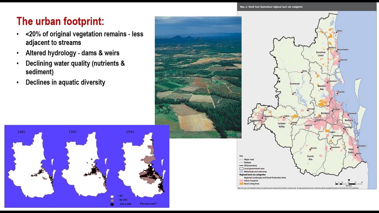 Trees make things better: the importance of catchment vegetation for ...