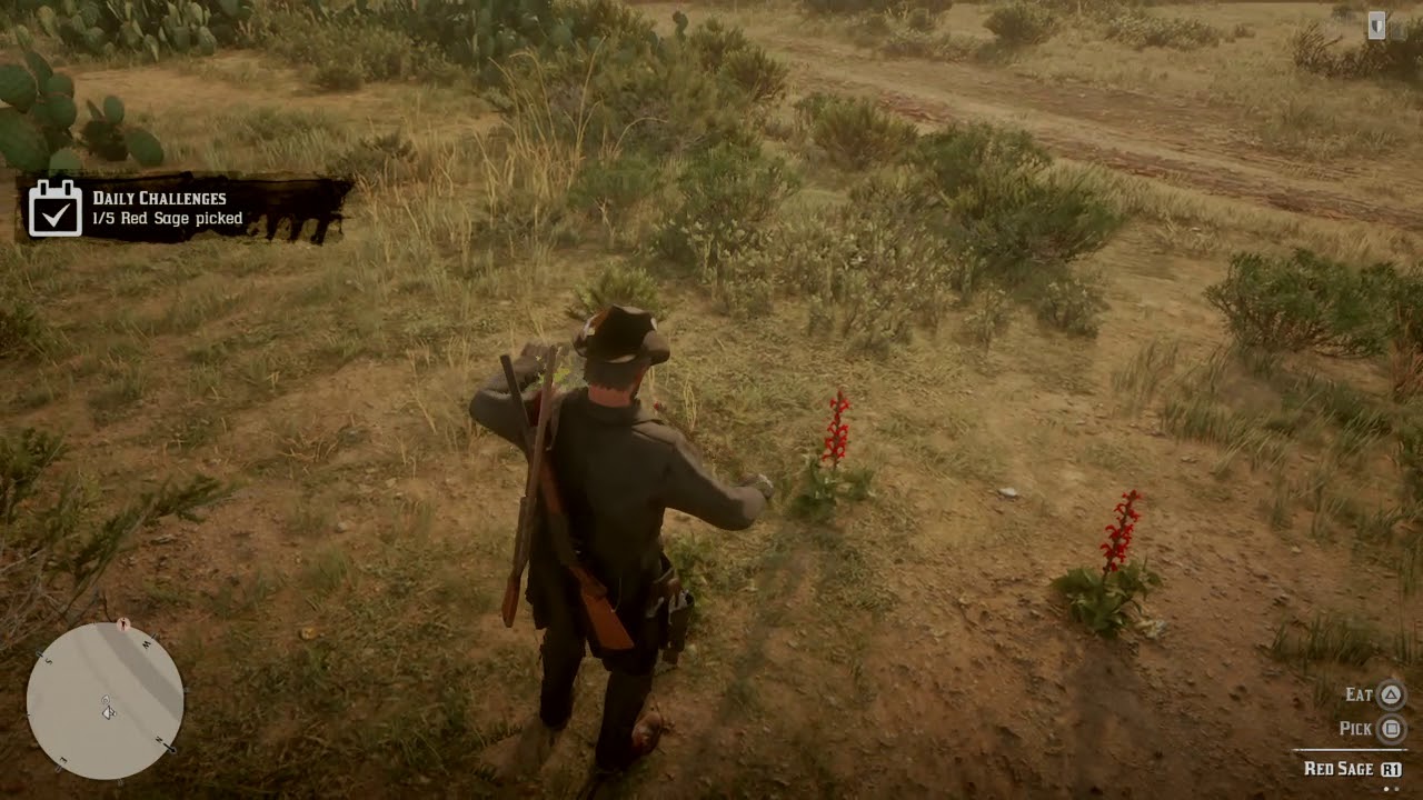 Red Sage Location | Red Dead Location - YouTube