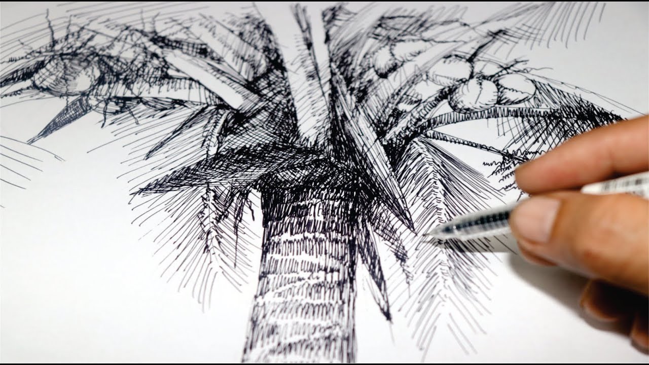 Drawing a Coconut tree/Pen Sketch Drawing/ Cross Hatching Art Therapy ...