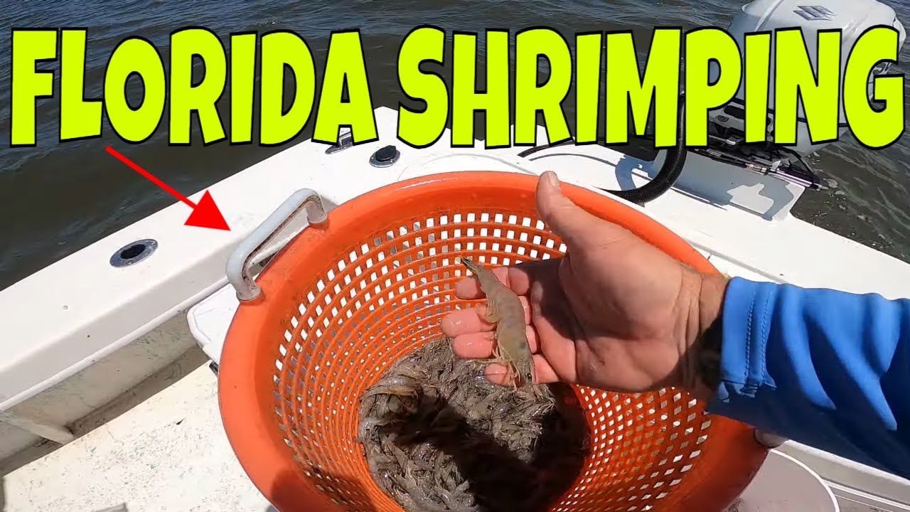 We didn't expect it to be this GOOD *** Florida shrimping with a CAST ...