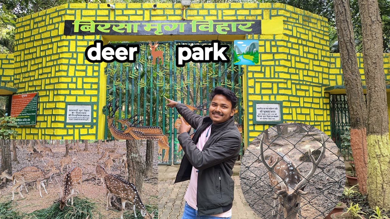 बिरसा मृग विहार खूंटी|| deer🦌 park || birsa mrig vihar park || ranchi ...