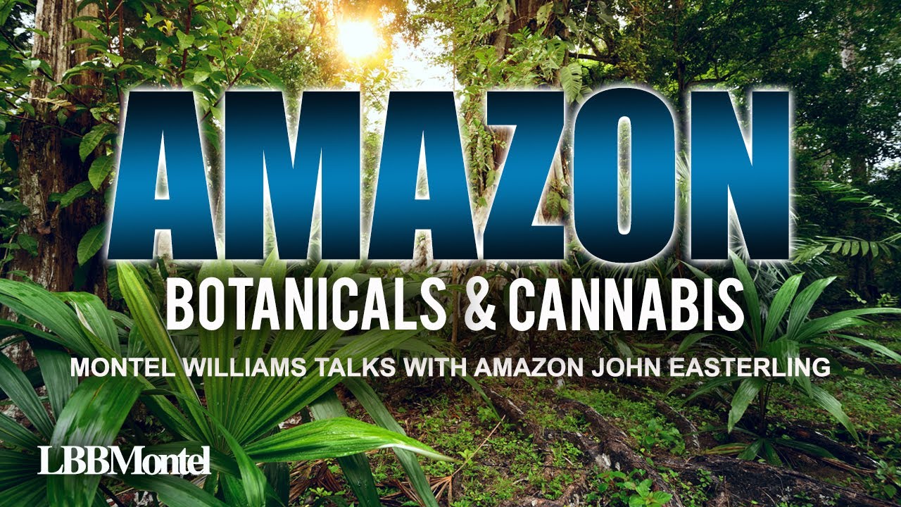 THE WONDROUS PLANTS OF THE AMAZON | JOHN EASTERLING - YouTube