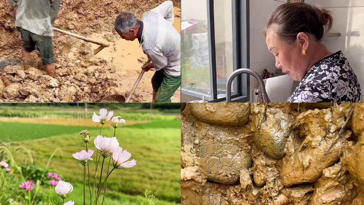 When Digging a Fish Pond, a Century old Well Was Dug Out - YouTube