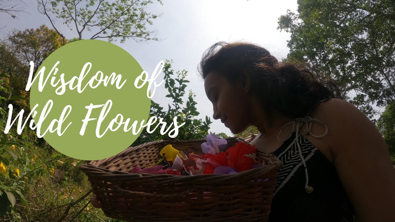 Kaat poo: Wisdom of wild flowers - YouTube