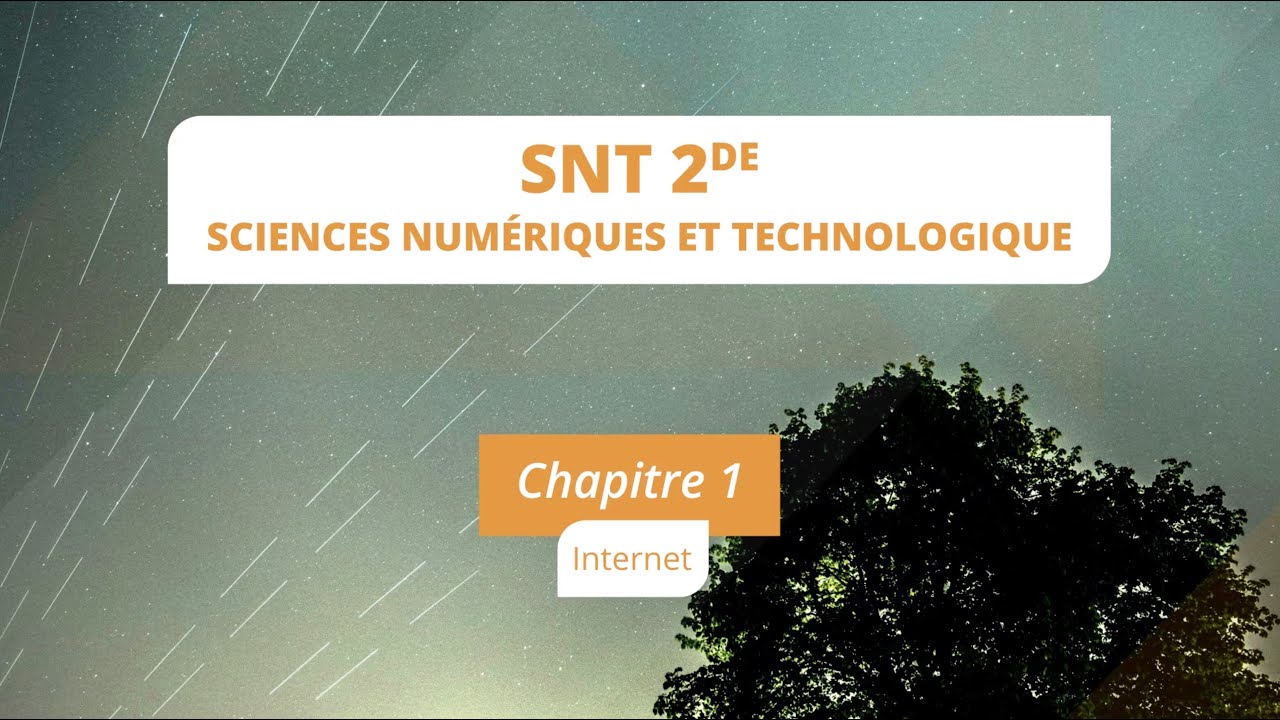 Internet (SNT 2de) - YouTube