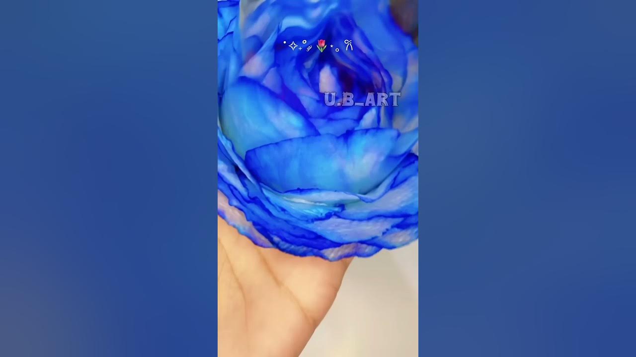 I tried but failed 😣#art #share #like #flowers #viralvideo #trending # ... I tried but failed 😣#art #share #like #flowers #viralvideo #trending # ...