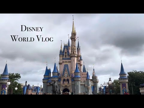 Disney World Vlog Orlando - YouTube
