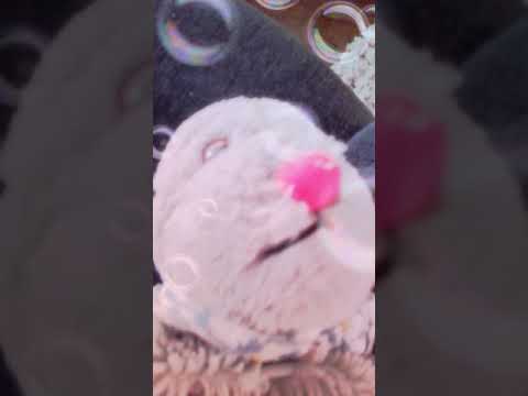 Sweep Squeaking - YouTube