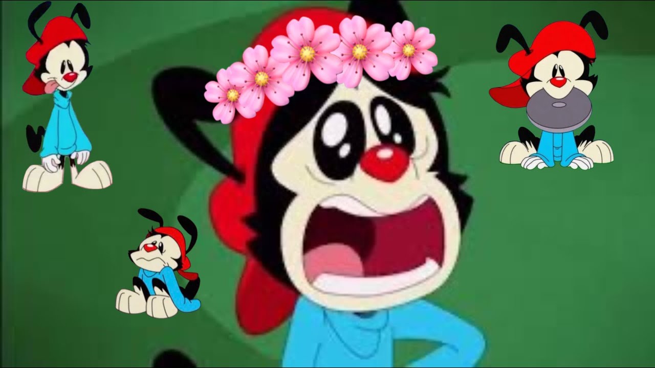 Wakko being a “good boi” for almost 3 minutes - YouTube