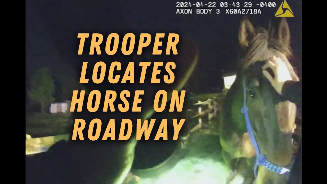 OSHP Trooper Locates Horse on Roadway - YouTube