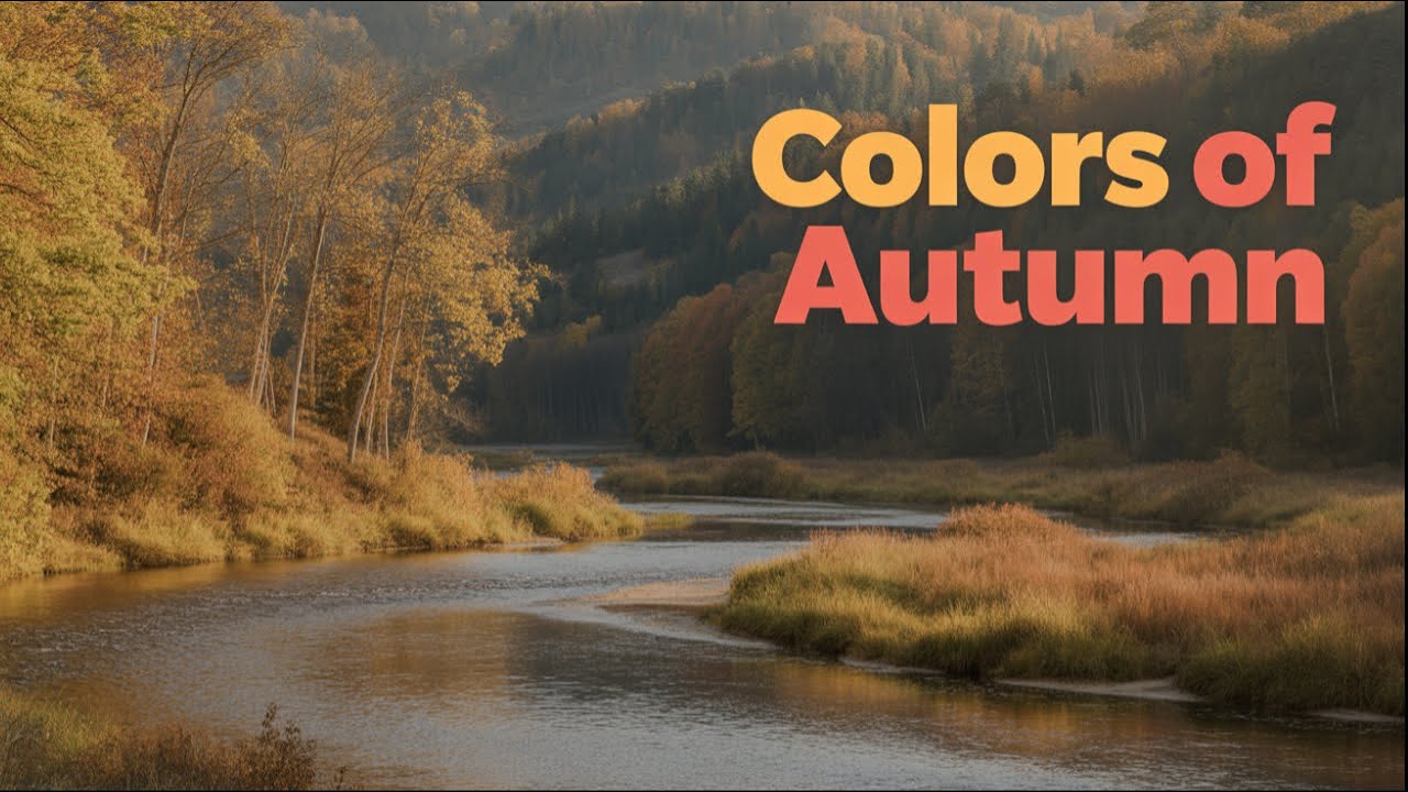 Autumn Forest: Gentle Leaves Rustling & Birdsong for Sleep | 3 Hours ...