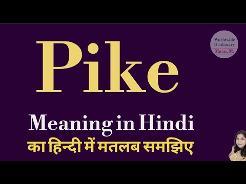 Pike meaning l meaning of pike l pike ka matlab Hindi mein kya hota hai ...