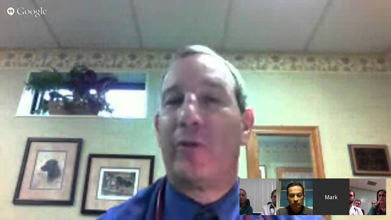 Dr. Mark Epstein discusses pain managment with RIVER interns - YouTube