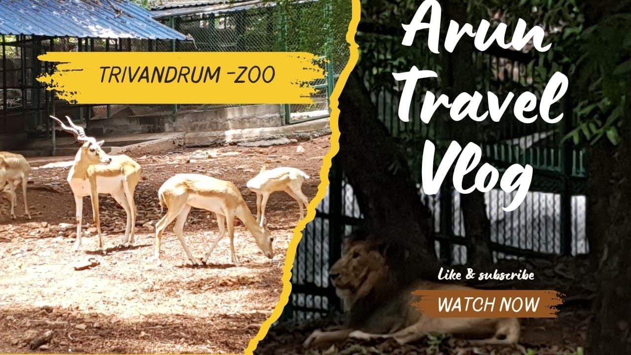 Trivandrum |Zoo| Arun Travel Vlogs Kerala| Tamil Review - YouTube