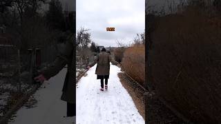 Tayori's YouTube Stats (Summary Profile) - Social Blade Stats