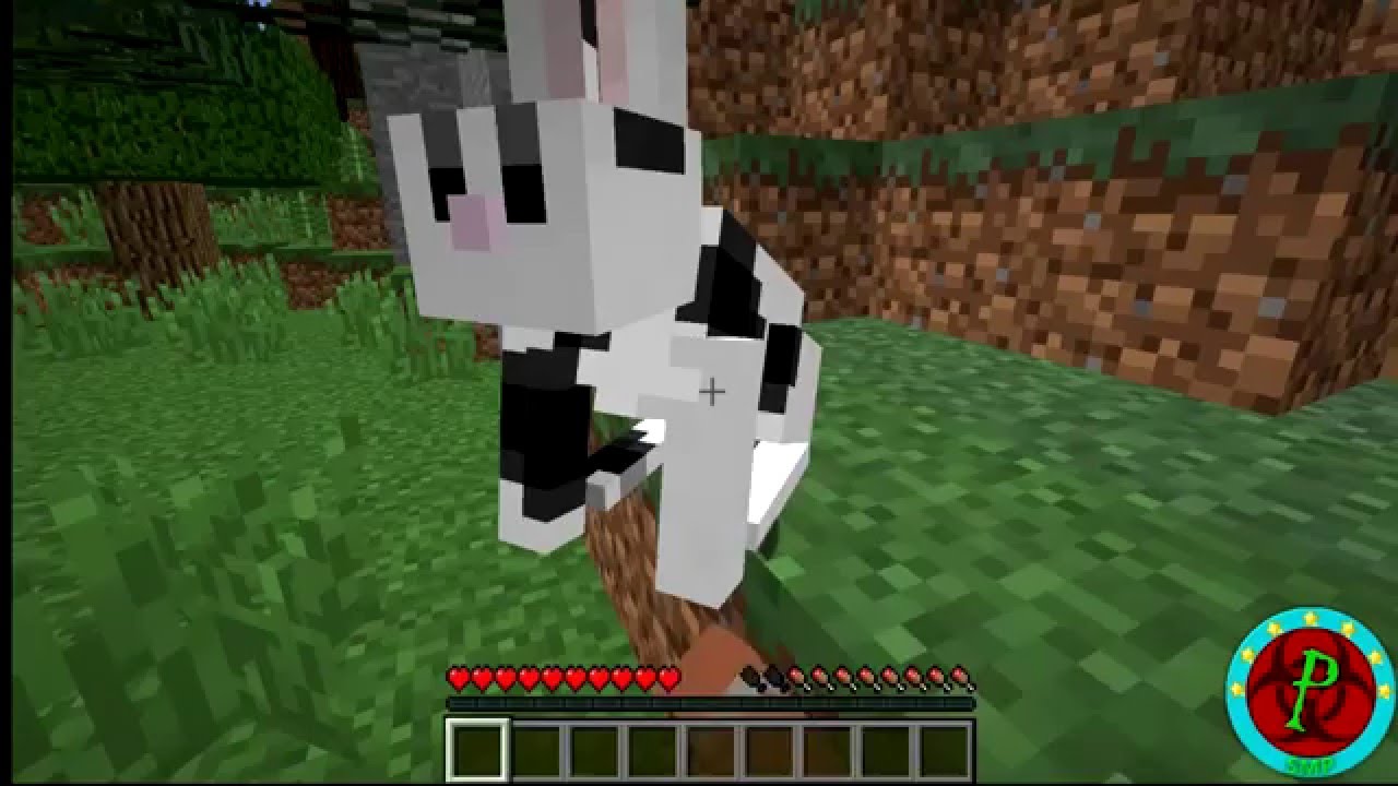 Plague SMP EP0: Making friends with the locals - YouTube