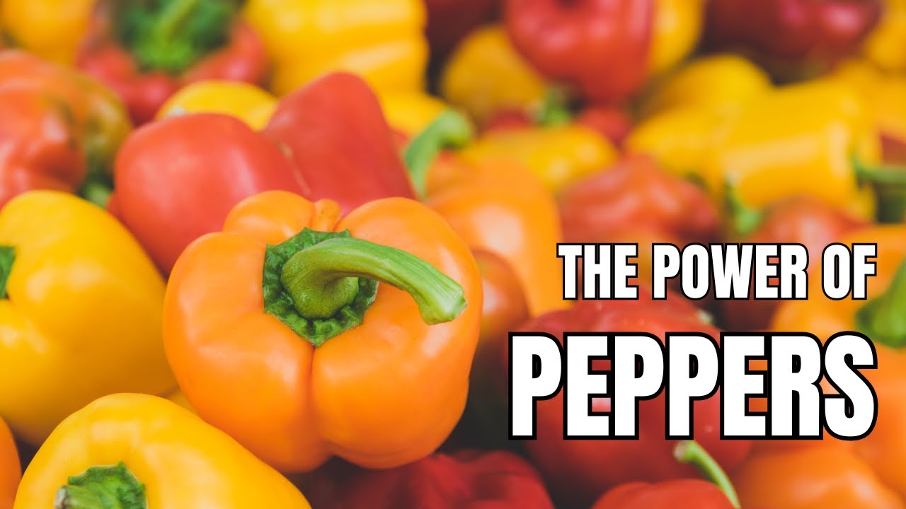 The absolute, fantastic, wonderful peppers - YouTube