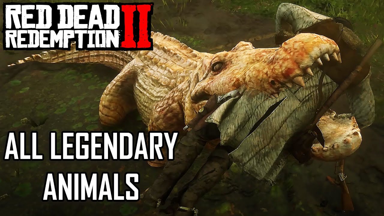 Red Dead Redemption 2 - ALL 16 Legendary Animal Locations - YouTube