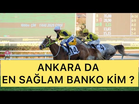 25 NİSAN CUMARTESİ ANKARA ALTILI GANYAN TAHMİNLERİ VE YORUMLARI