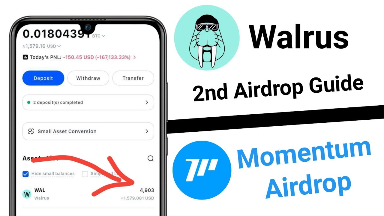 Walrus 2nd Airdrop || Momentum Airdrop Guide || Sui Ecosystem potential ...