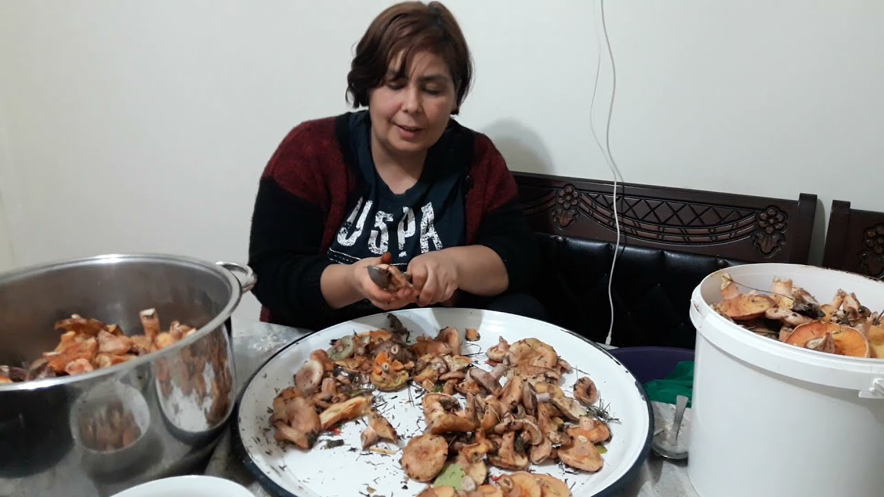 KANLICA ÇINTAR MANTARI SALAMUR YAPILIŞI - YouTube