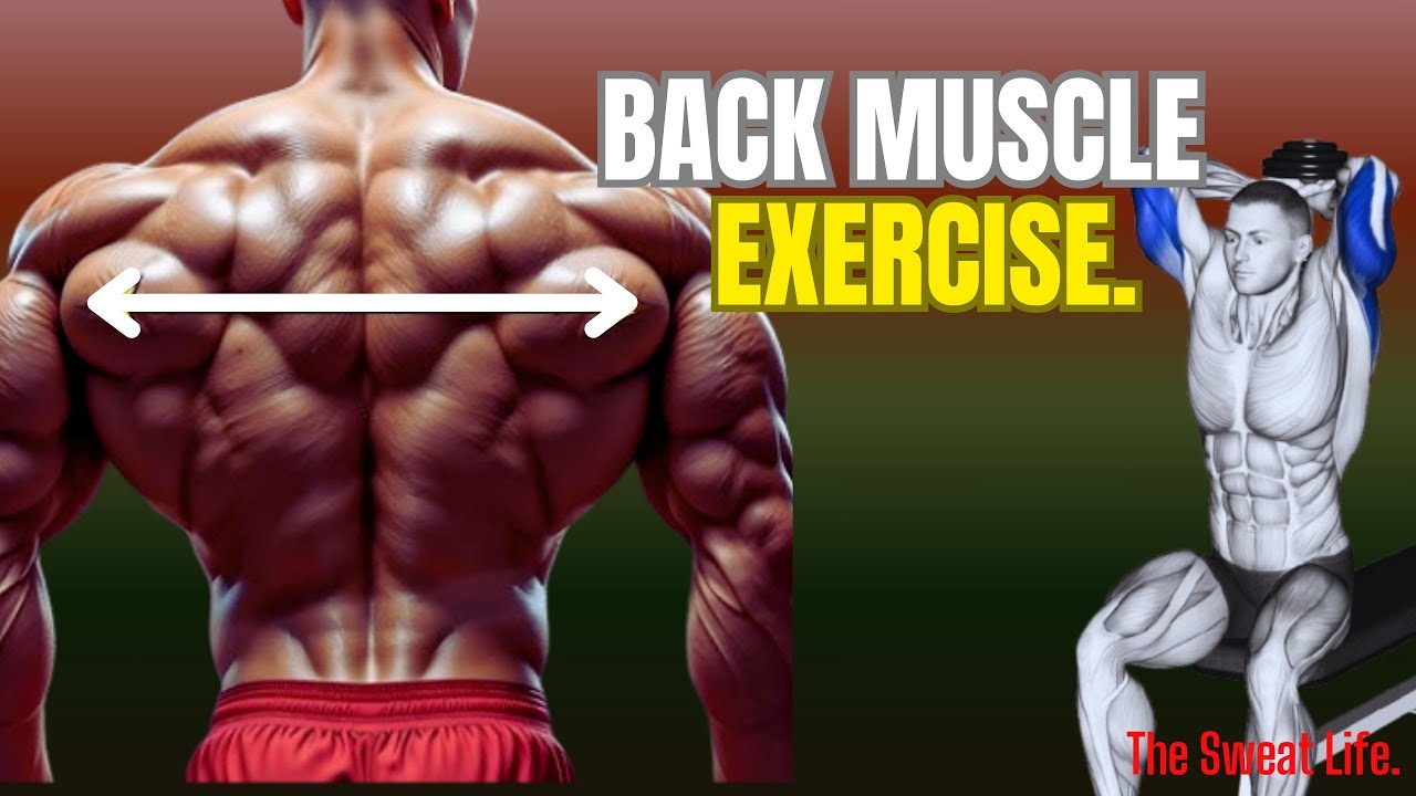 The FASTEST Way to Build Lats and Back Muscles 100% Effective Workout ...