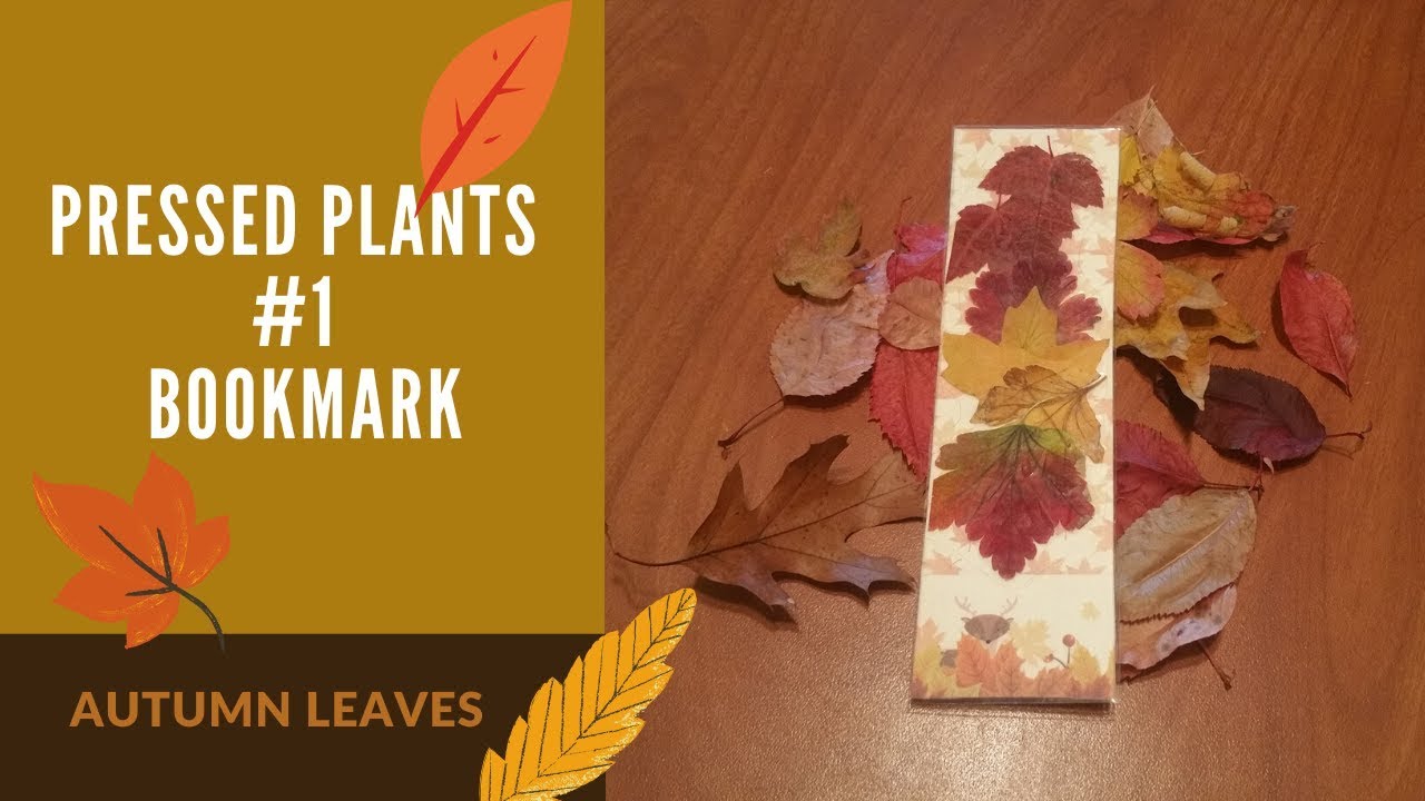 How to make a bookmark using pressed plants - Autumn Leaves! 🍁 - YouTube
