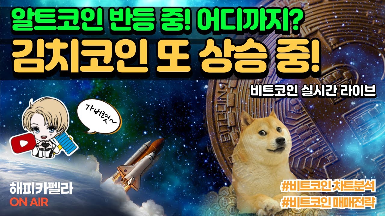 비트코인 실시간 김치코인 또 상승 중 알트코인 반등 중 차트분석 626 점심💎비트코인 비트코인실시간 이더리움 리플