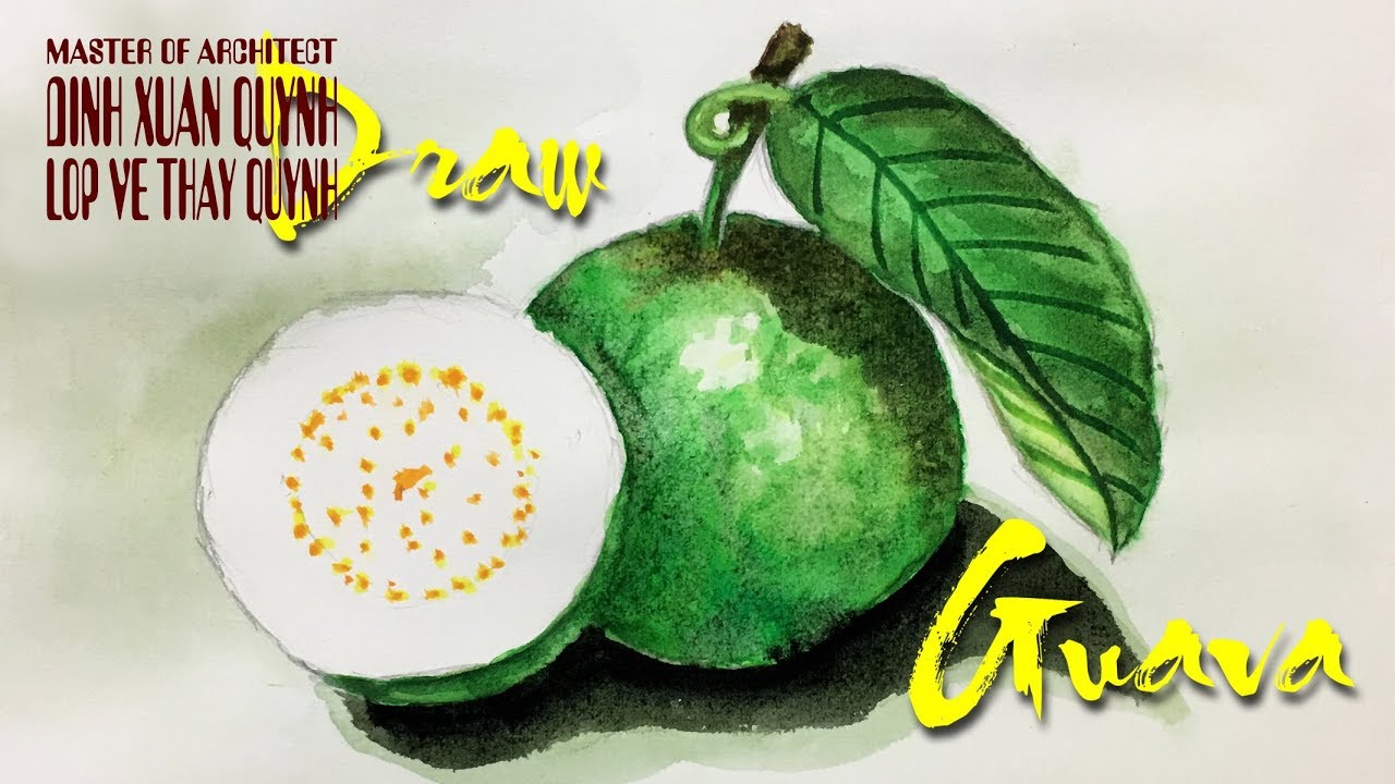 how to draw a Guava step by step very easy (vẽ quả ổi) - YouTube