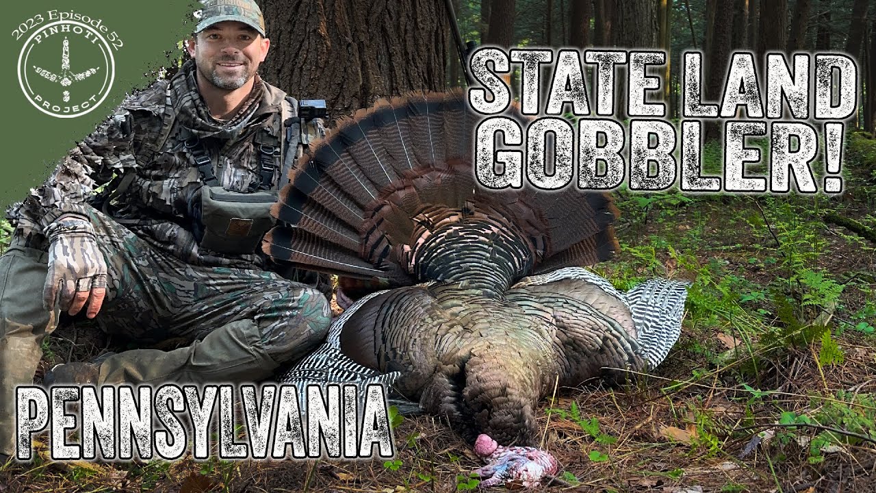 GOBBLERS by CHANCE | HUNTING PUBLIC LAND in the NORTHEAST | CALLING 3 ...