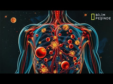 İnsan Vücudunda Ne Kadar Hücre Var ? | Hücre Çeşitleri ve Fonksiyonları