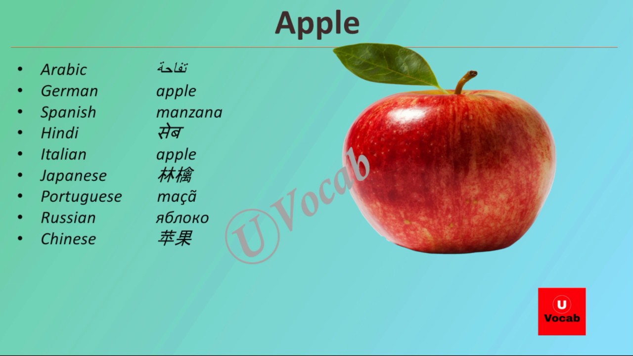 Apple Meaning And How To Pronounce U Vocab YouTube apple-meaning-and-how-to-pronounce-u-vocab-youtube