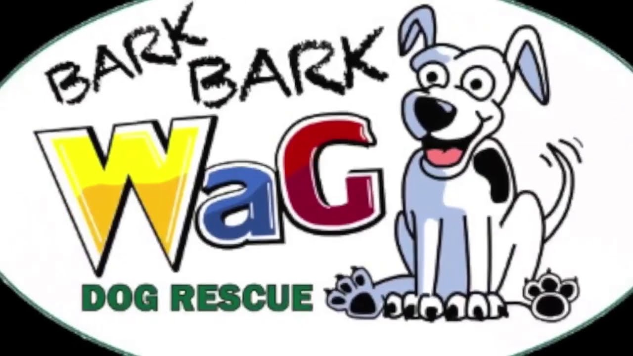Bark Bark Wag Dog Rescue - YouTube