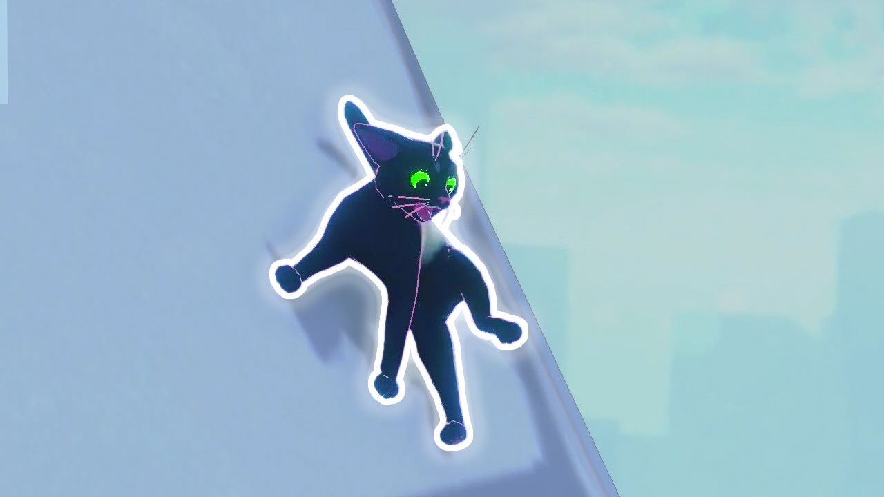 WHAT HAPPENS WHEN A CAT FALLS OFF A 4 STORIE BUILDING......AND SURVIVES ...