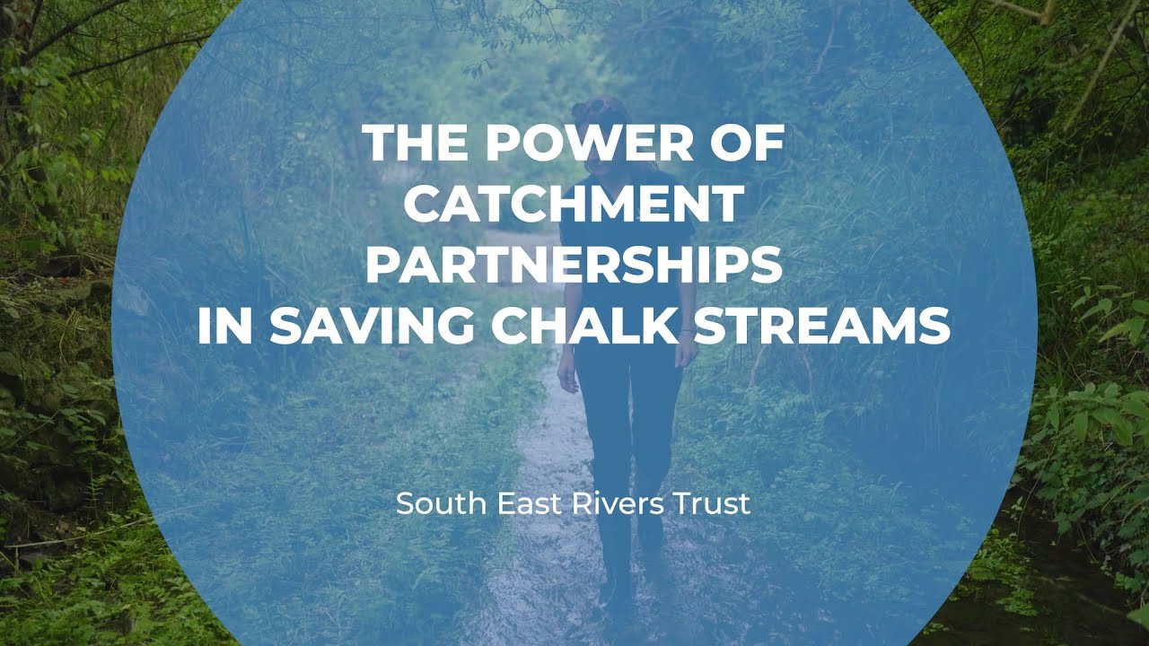 Saving Chalk Streams Using Catchment Partnerships | Southeast Rivers ...
