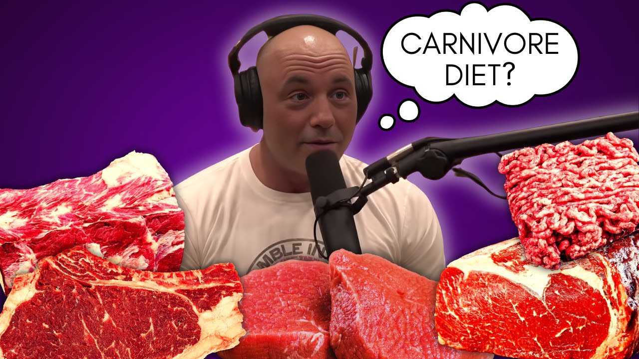 The Carnivore Diet EXPOSED What You NEED to Know - YouTube